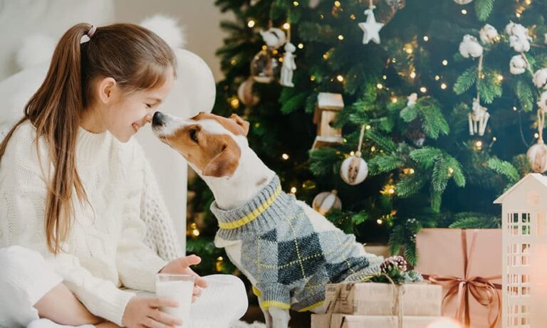 Amor de cachorro: aprenda como ele demonstra afeto | Petz