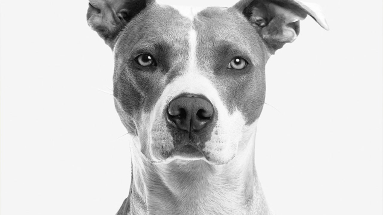 Quantos Tempo O Socomol Demora Para Fazer Efeito🦁 Saiba mais sobre os ...