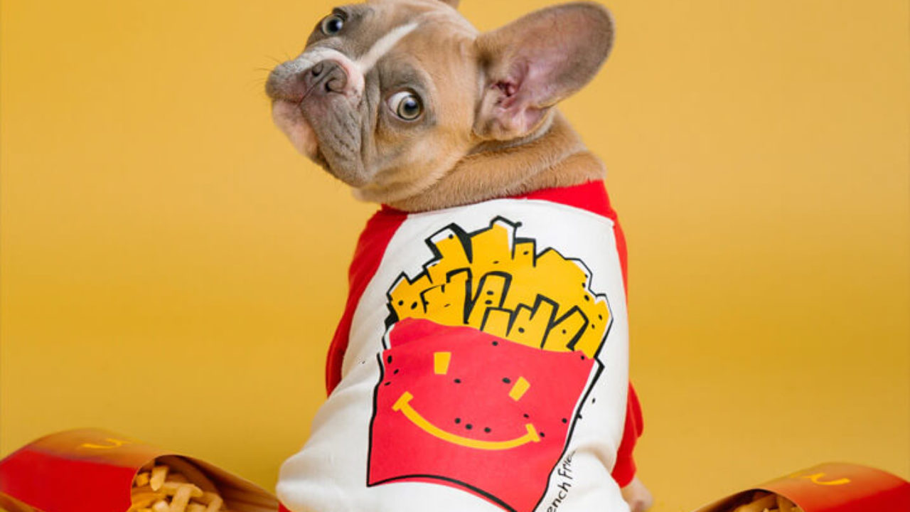 Las Batatas Dan Gases A Los Perros