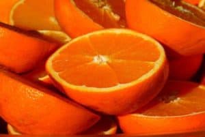 Calopsita pode comer laranja? Descubra | Petz