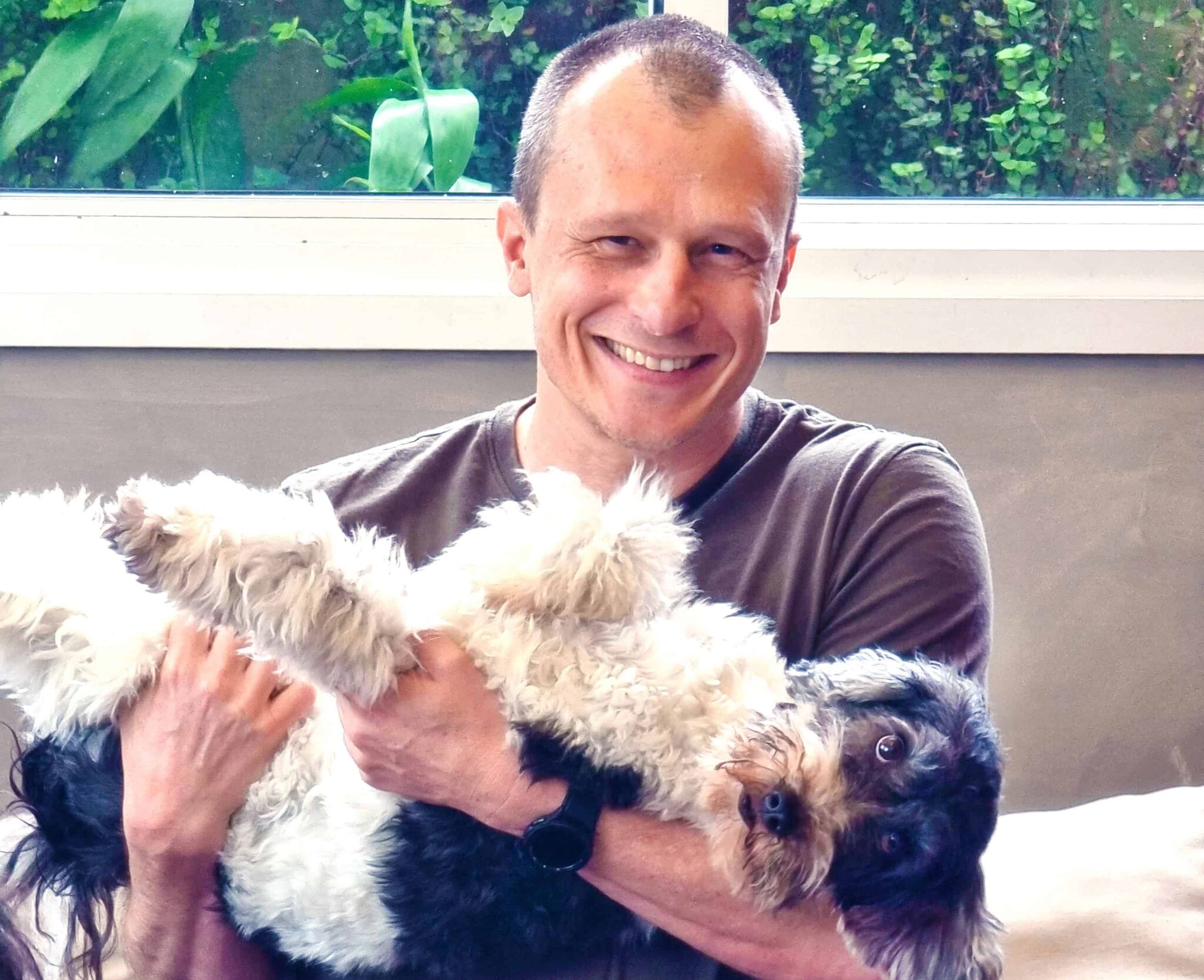 Luto pelo pet: como lidar com a perda? | Petz