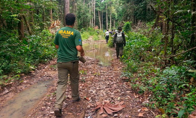 O que é o Ibama? Esclareça suas dúvidas sobre o órgão.