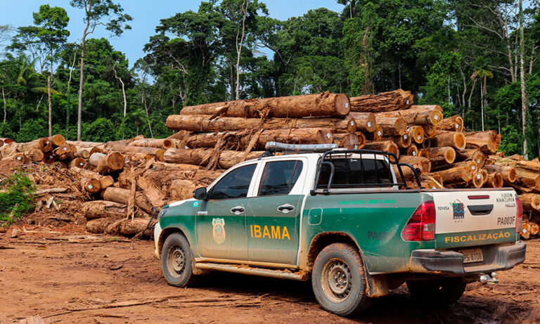 O que é o Ibama? Esclareça suas dúvidas sobre o órgão.