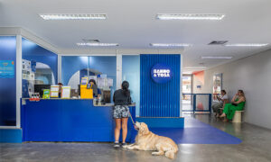 Protocolos que se deve saber sobre a estrutura de banho e tosa